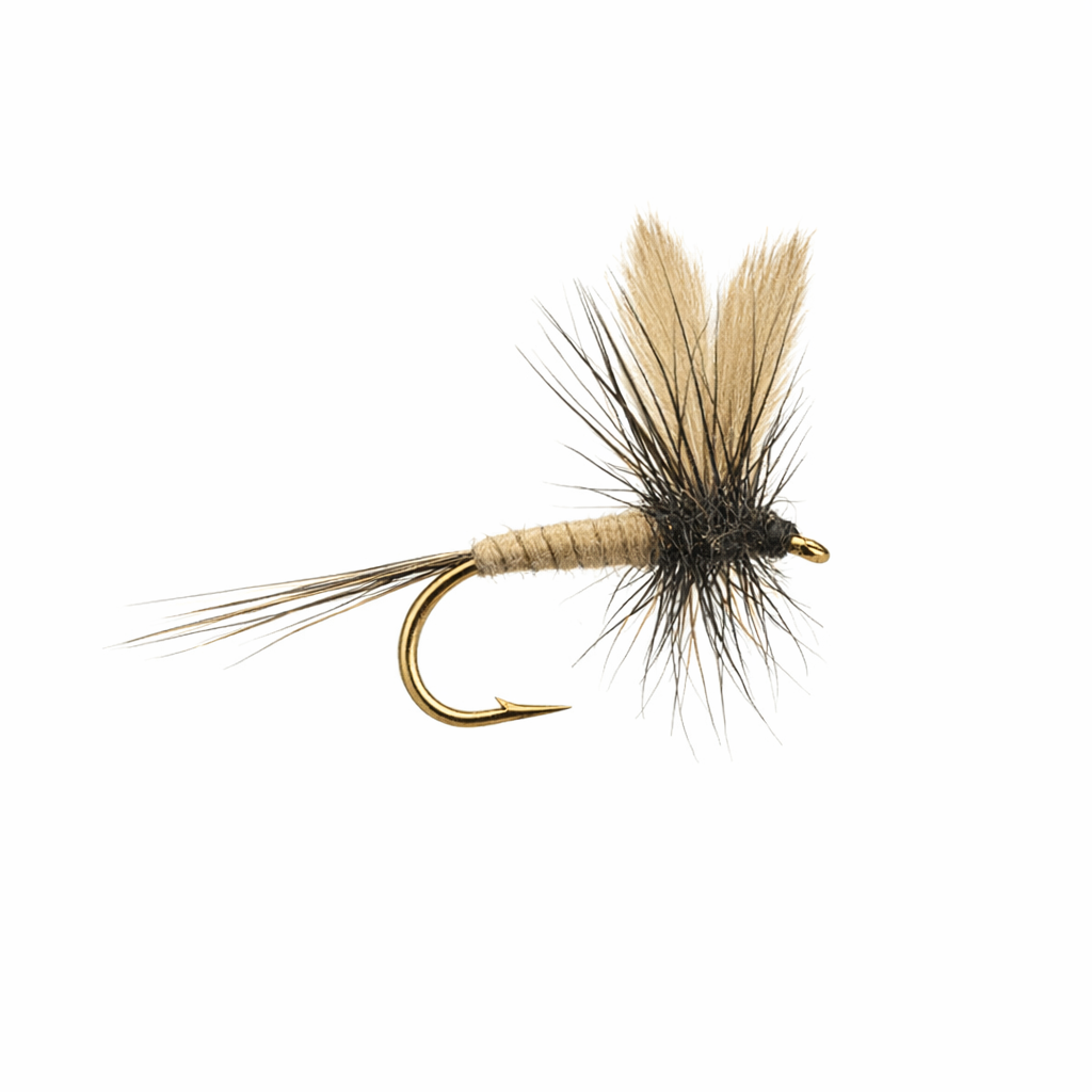 Black Quill - Fly Pattern Recipe & Instructions | Cutty