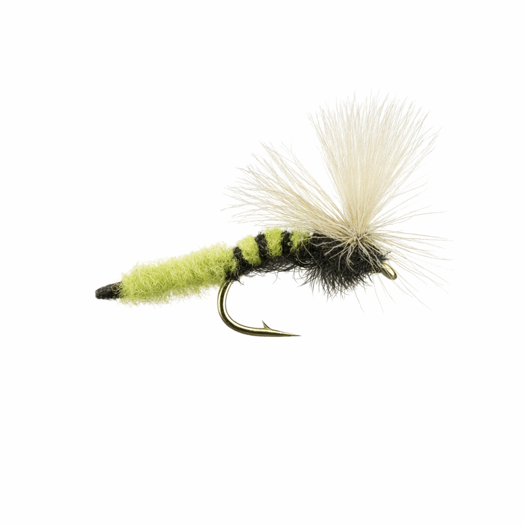 Spotlight Caddis Emerger - Fly Pattern Recipe & Instructions | Cutty