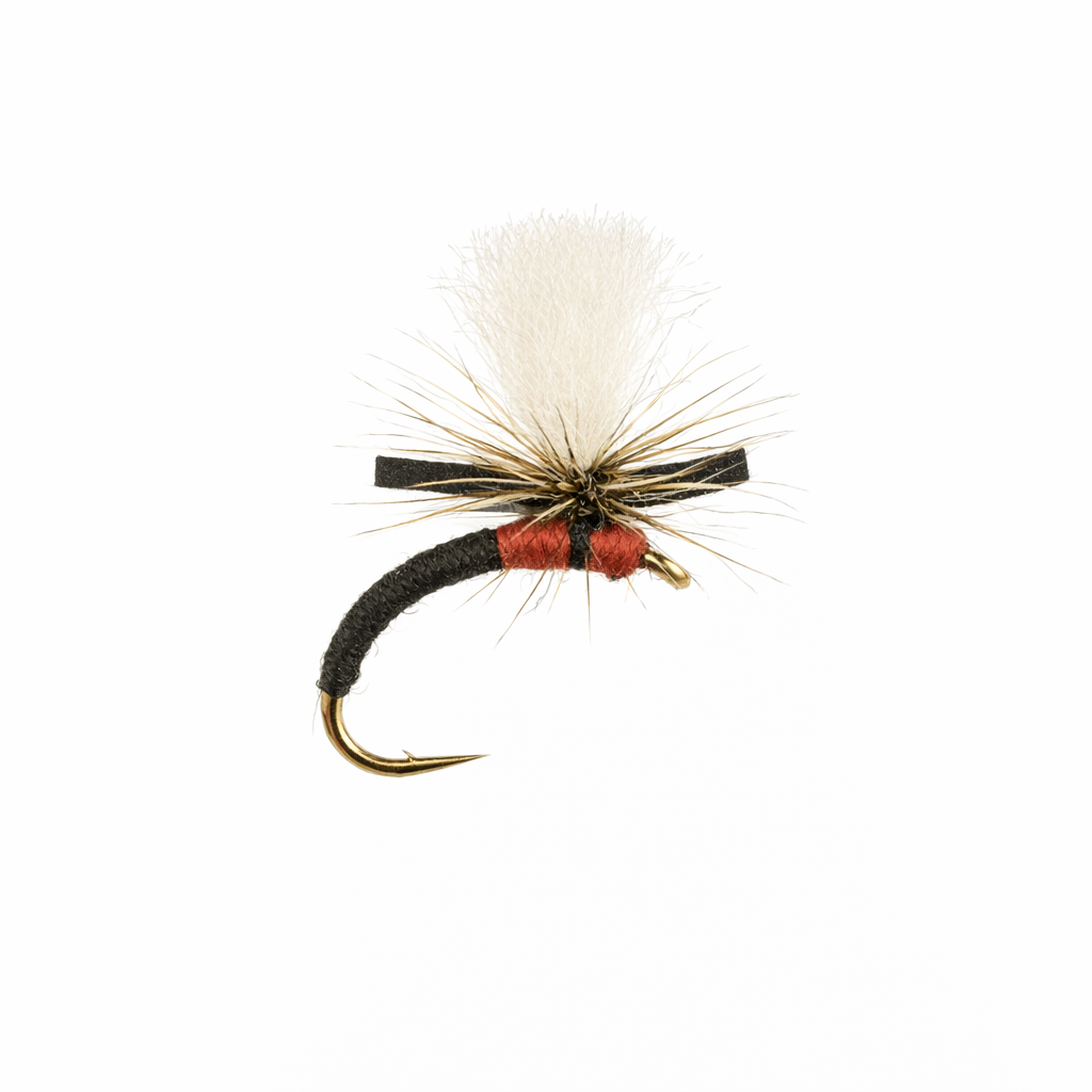 Suspended Ant - Fly Pattern Recipe & Instructions | Cutty