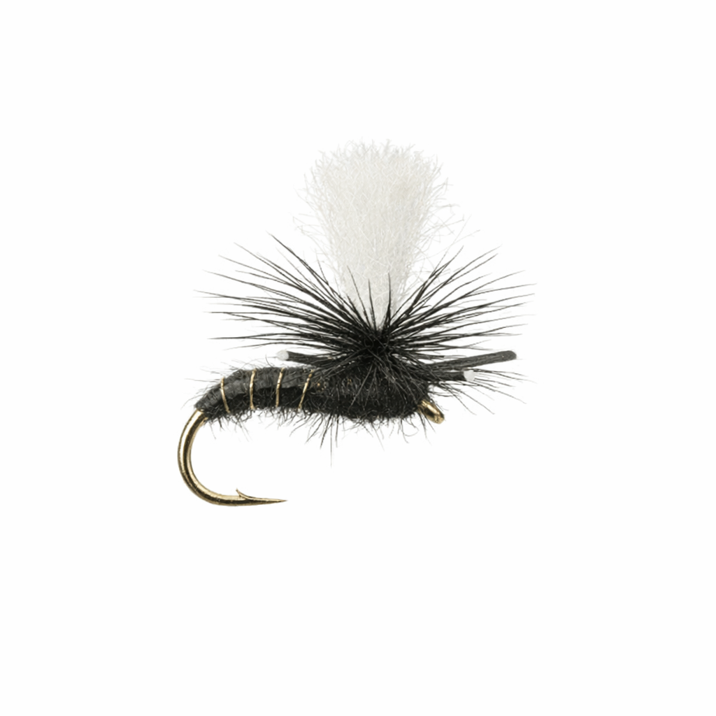 Suspended Beetle - Fly Pattern Recipe & Instructions | Cutty