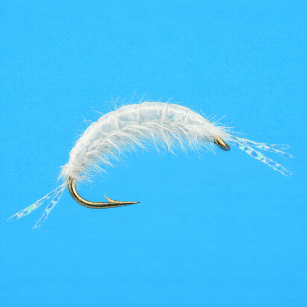 Translucent Scud - Fly Pattern Recipe & Instructions | Cutty