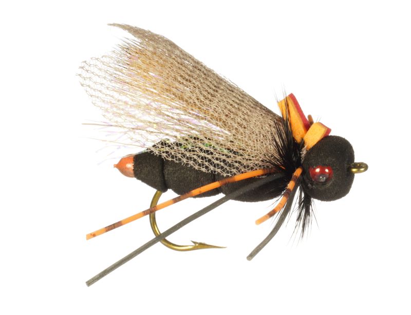 Ultimate Cicada - Fly Pattern Recipe & Instructions | Cutty