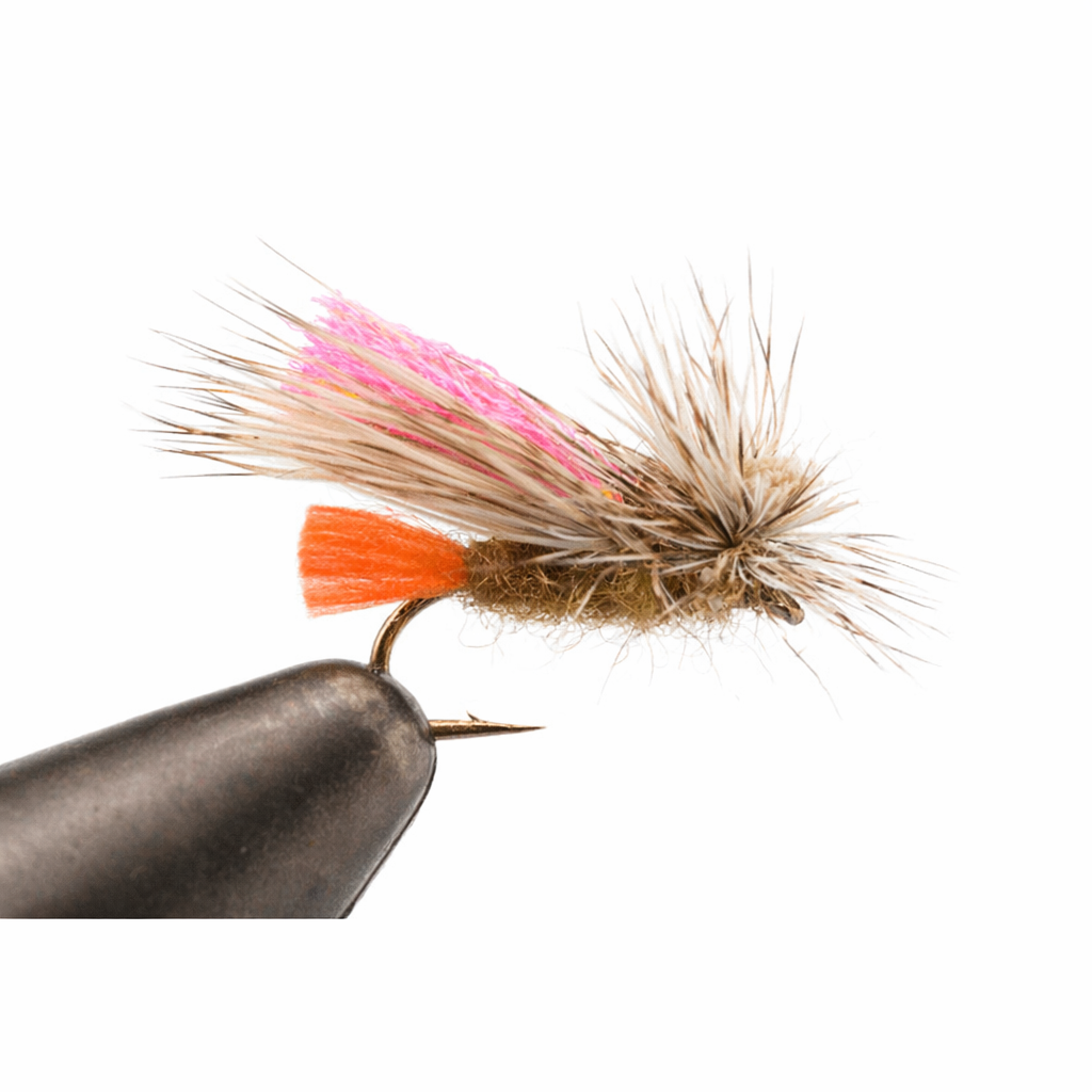 Tactical Caddis - Fly Pattern Recipe & Instructions | Cutty